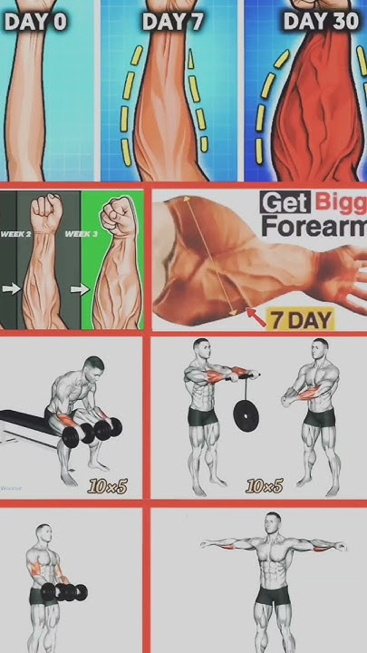 Get Bigger Forearm Exercise 💯 Forearmworkout Forearmtraining Forearmworkout Body Fitness