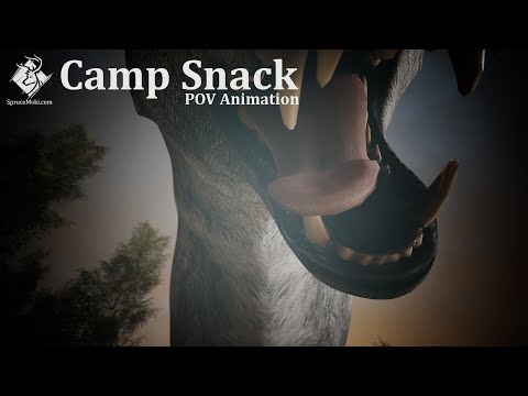 Camp Snack POV