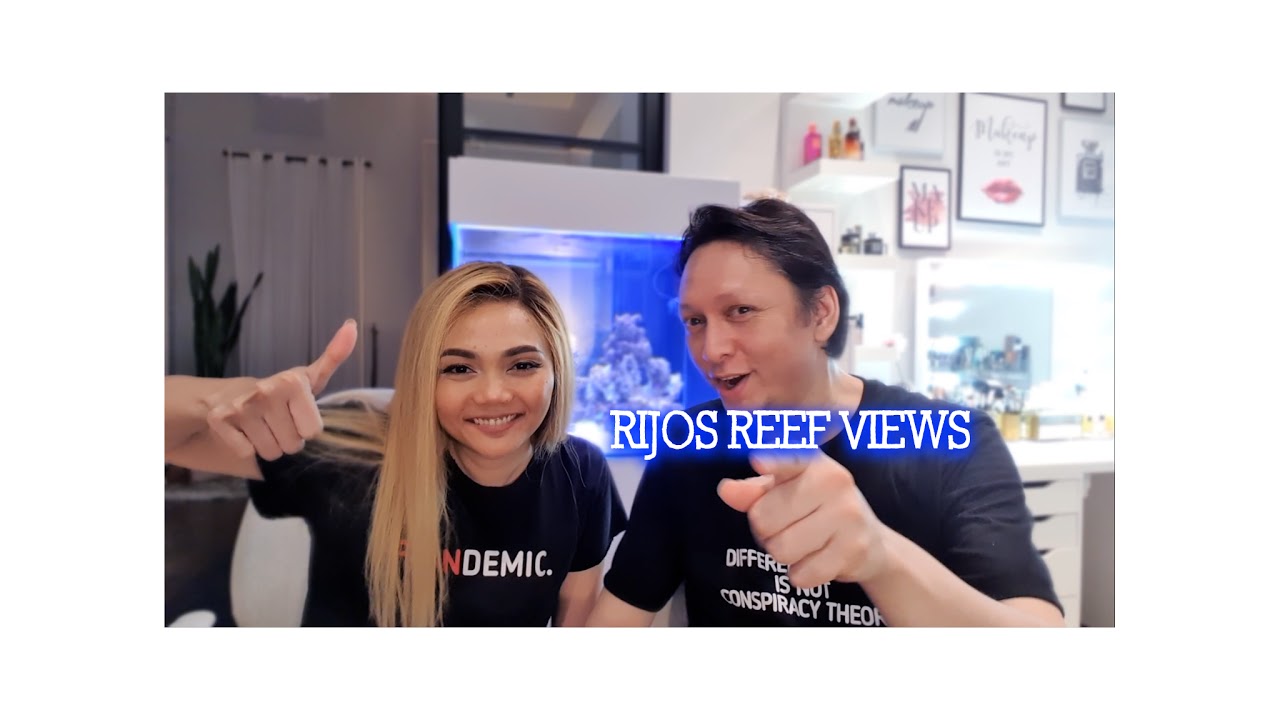 Joss Joss Live Stream - YouTube