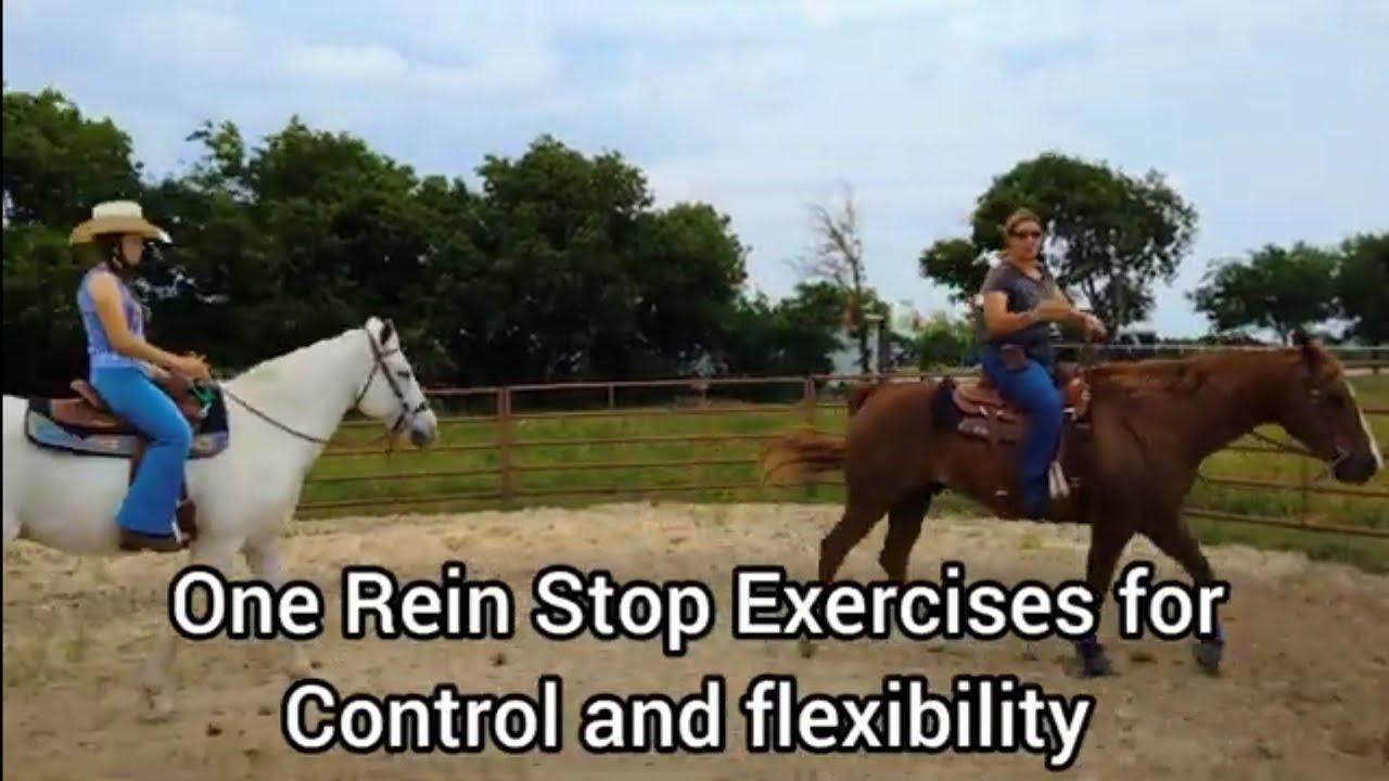 One Rein Stop Exercises for added Control, Response and Flexibility ...