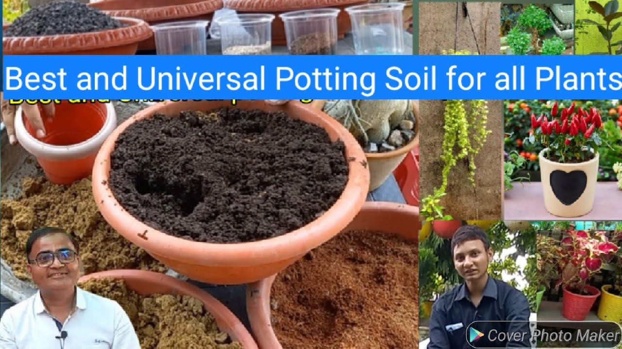Making a best and universal potting soil for all plants | potting mix ...