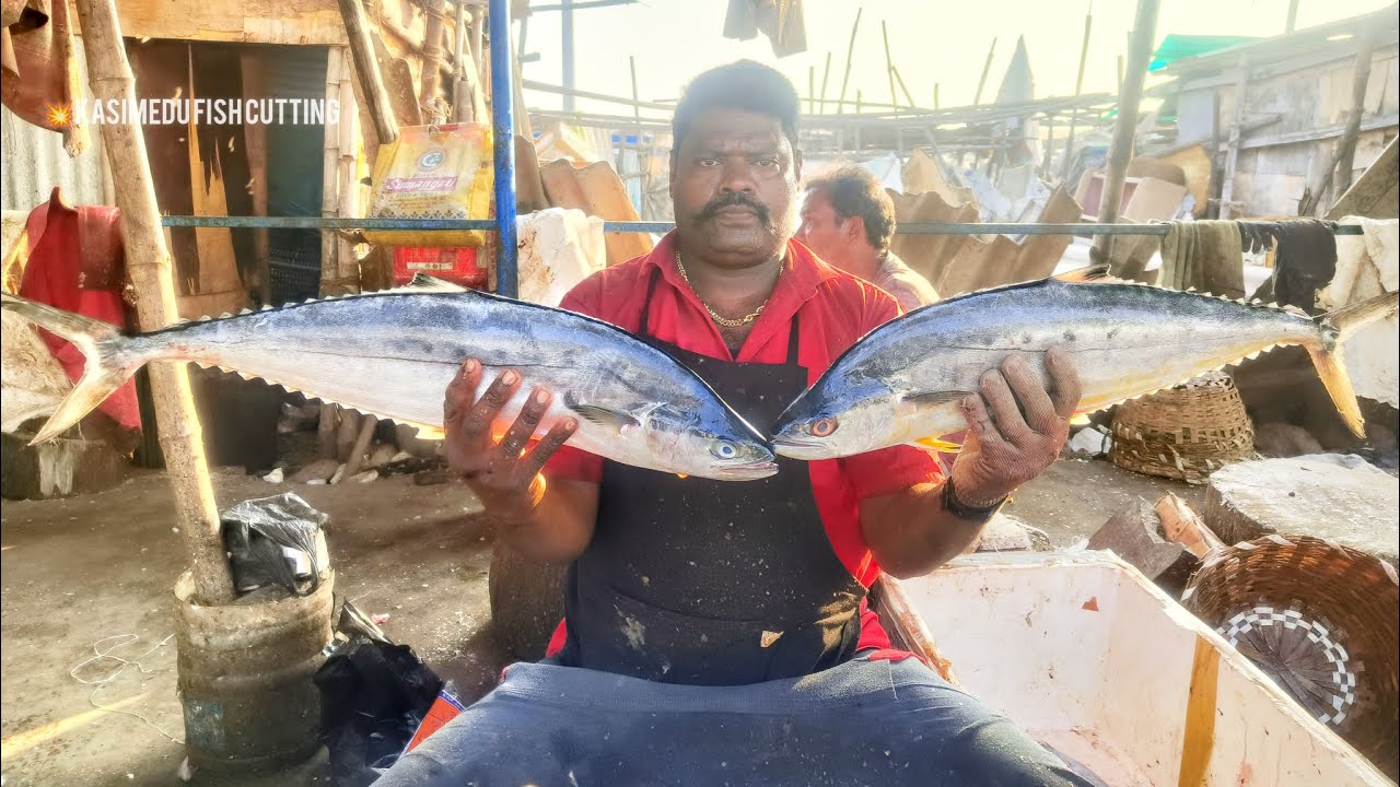 KASIMEDU💥SPEED SELVAM THOL PAARAI FISH CUTTING VIDEO/ # ...