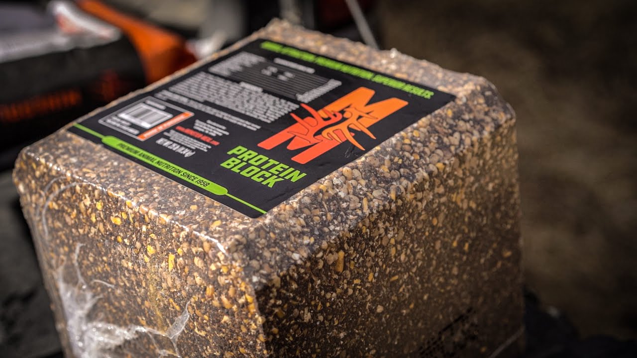 MonsterMeal Protein Block | The #1 Protein Block for Whitetail Deer ...