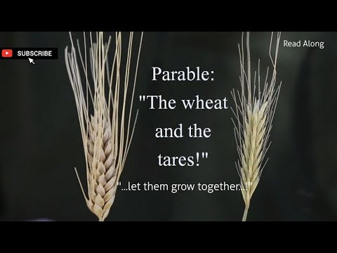 Parable| Wheat & Tares| Matthew 13: 24-30 & 36-43| Read Along 📖 - YouTube