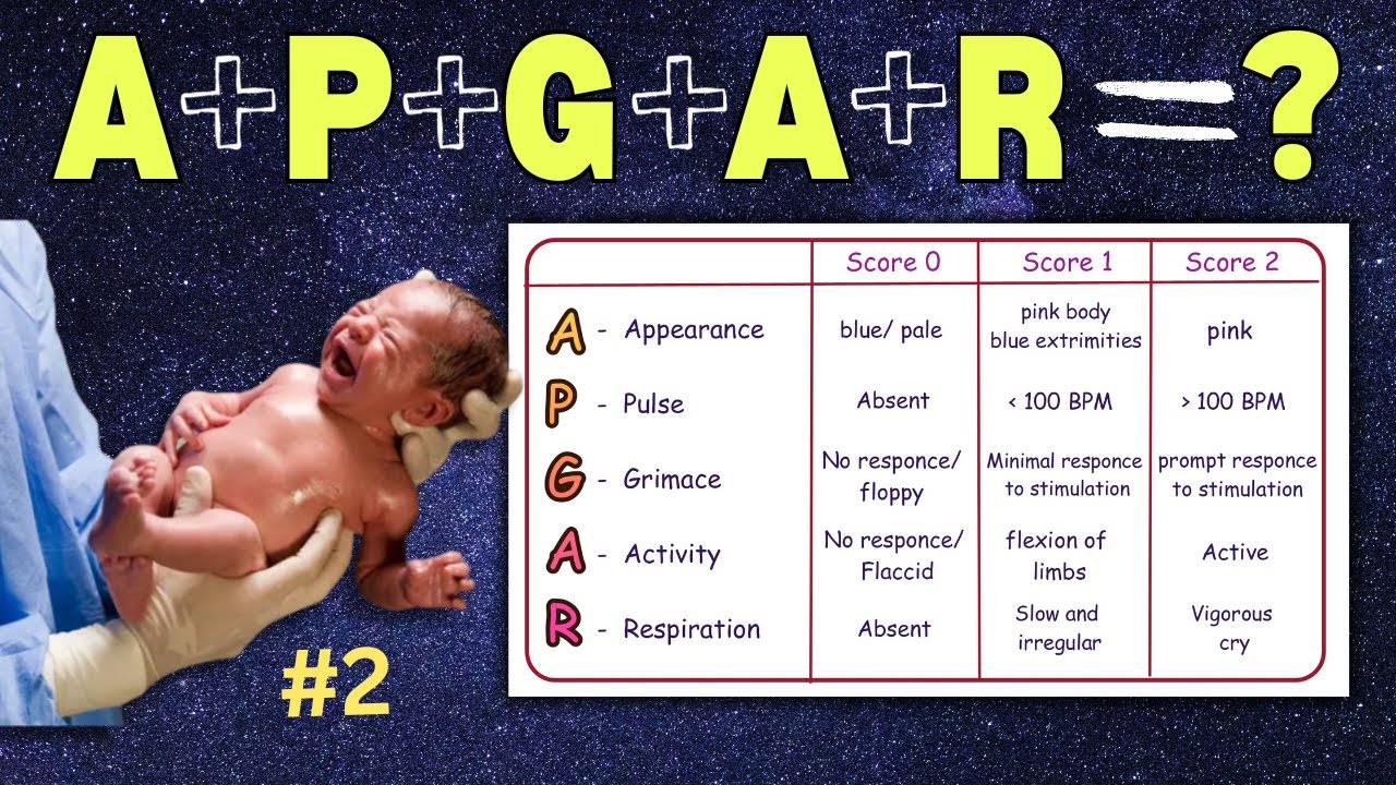 How to calculate the APGAR score ? Simple Explaination - YouTube