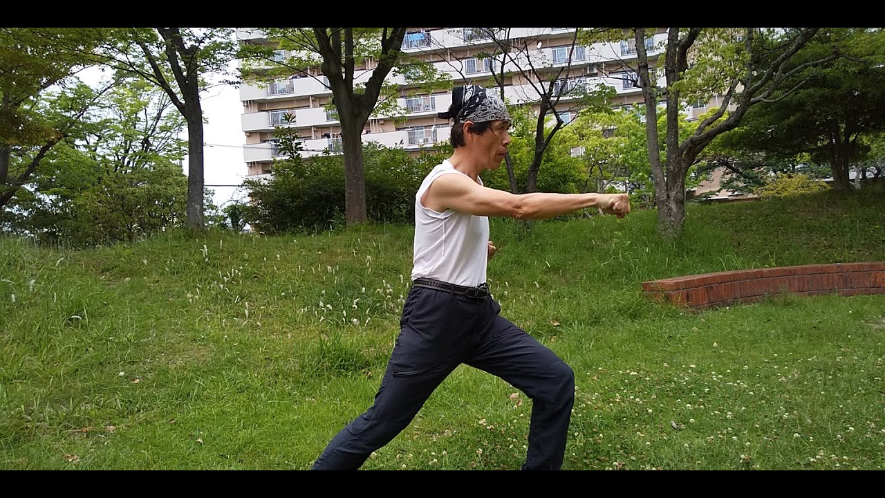 空手・拳法の稽古 31 ― 正拳逆突き 2 Karate & Kungfu step by step training 31 Reverse ...