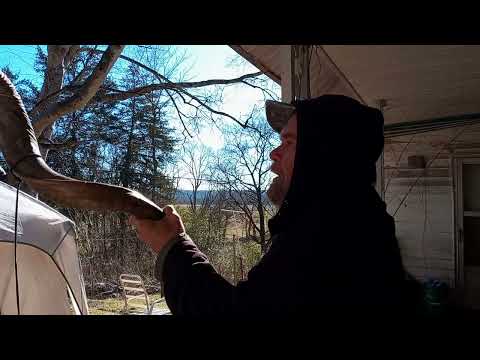 New Moon Day, Jan 13, 2024, Shofar blowing - YouTube