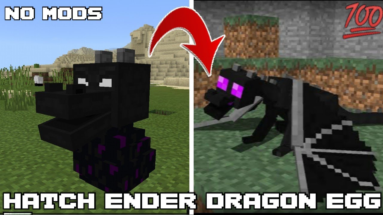 How To Hatch A Dragon Egg In Minecraft Simple And Effective Method How To Hatch A Dragon Egg In Minecraft Simple And Effective Method