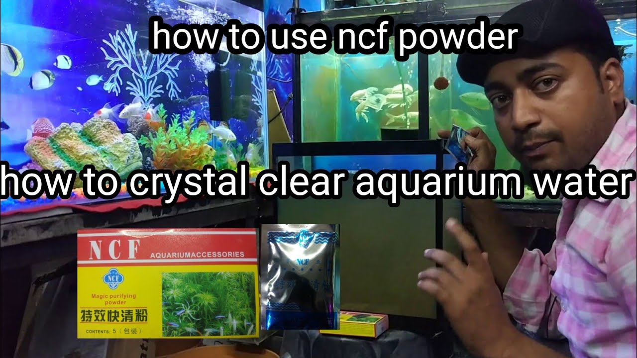 How to CRYSTAL CLEAR fish aquarium ncf powder use - YouTube