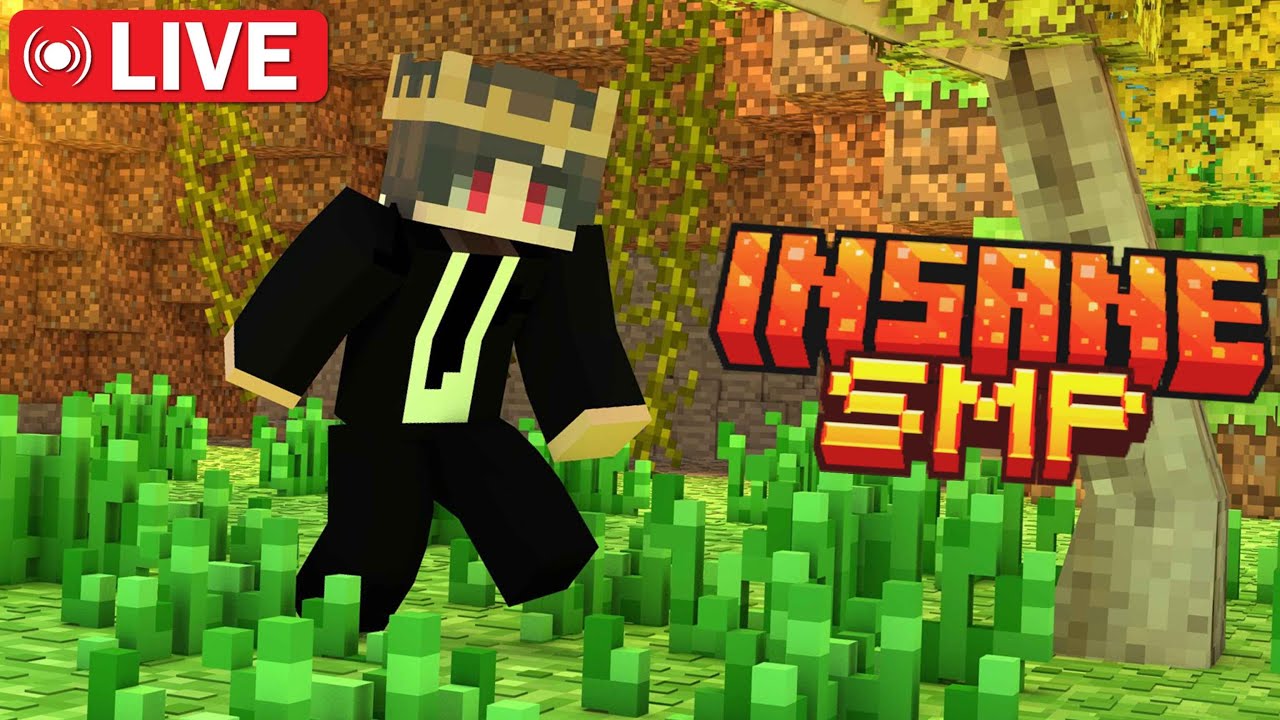 Auction In Insane SMP SEASON 1 - YouTube