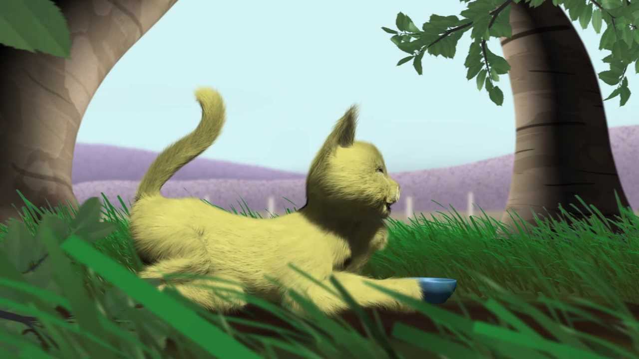 The Story of Stubbs the Cat - YouTube