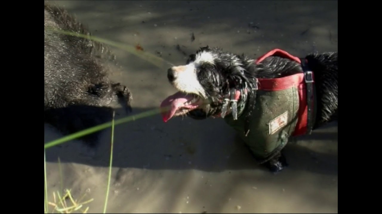 Borders and Boars Episode 2 - YouTube