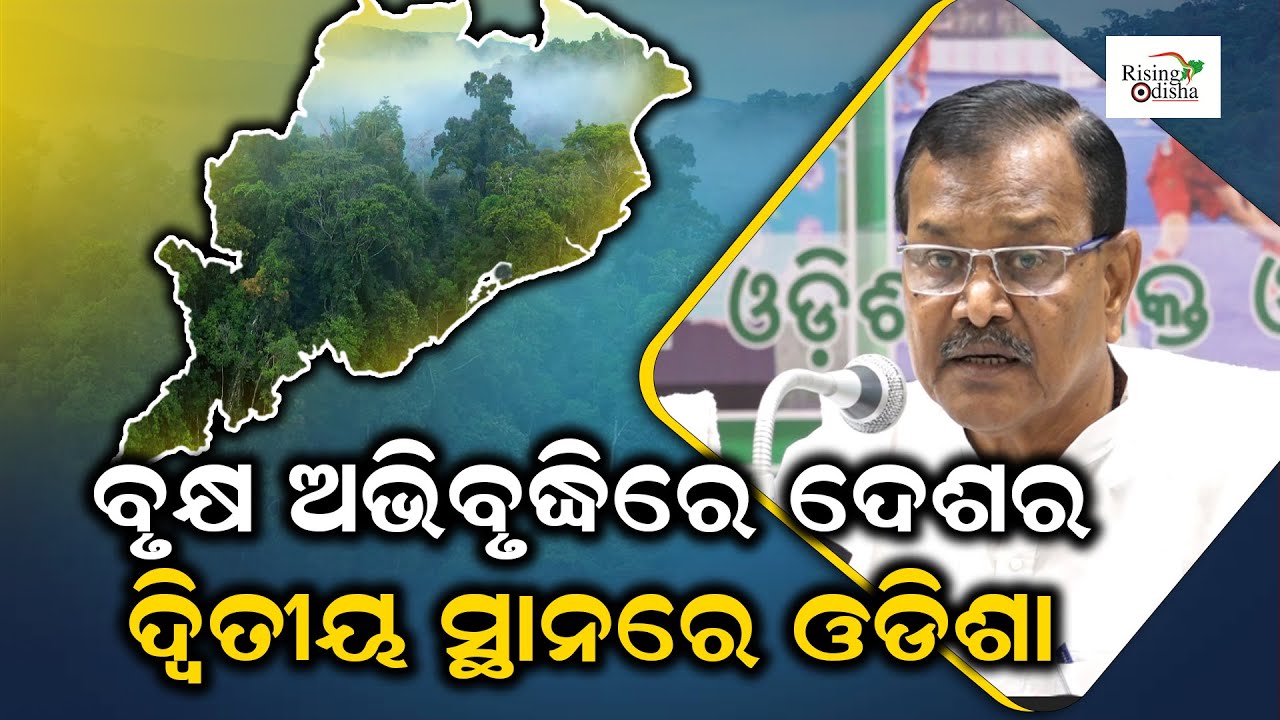 Odisha Ranks 2nd in Highest Tree Cover in India | Watch Odisha Forest ...