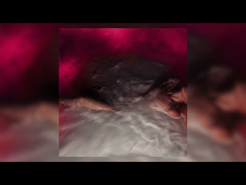 Hayley Williams - Trigger (Letra/Lyrics)