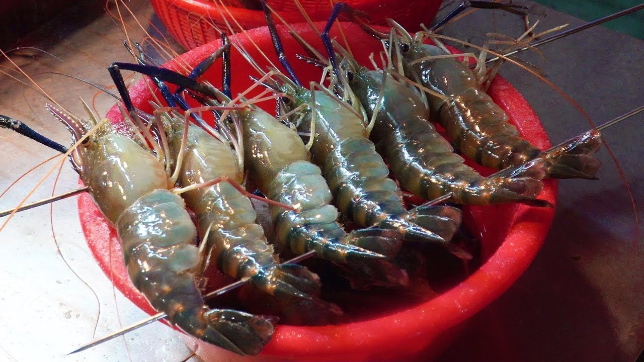 거대한 징거미새우 구이 grilled giant freshwater prawns - taiwanese street food ...