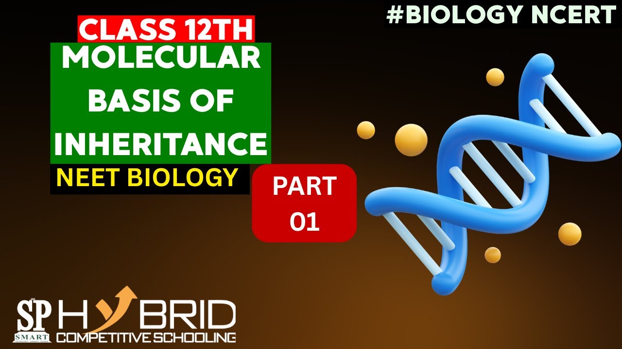 NEET||NCERT+PYQS||MOLECULAR BASIS OF INHERITANCE||PART 01||BIOLOGY ...
