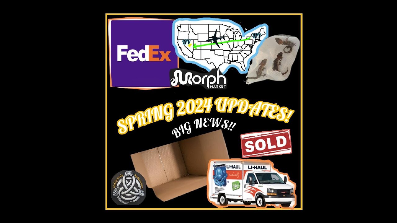 Onward and Upward! SPRING UPDATES! - YouTube