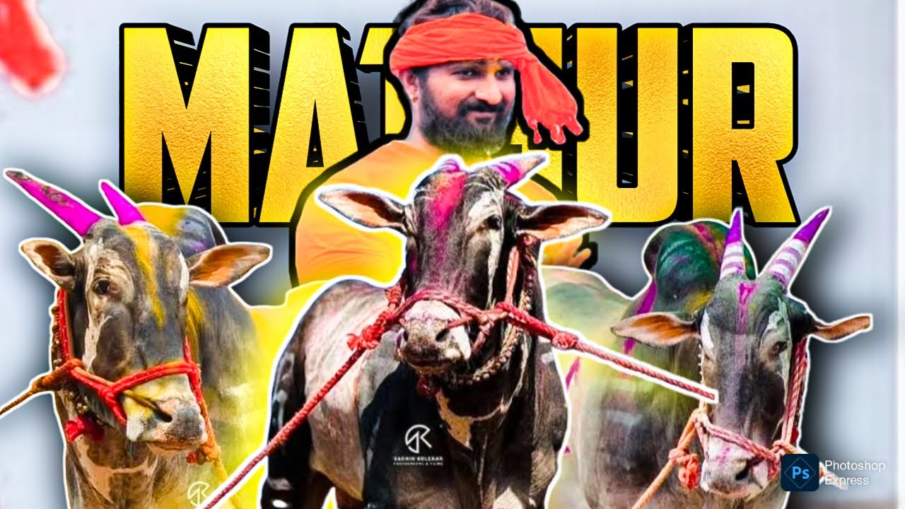 mathur 1001 🔥|| कोकणात पहिल्यांदाच आला बिनजोडचा बादशहा मथुर 1001 ...