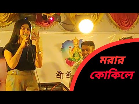 মরার কোকিলে। morar kokile। by pinki | 2023 - YouTube