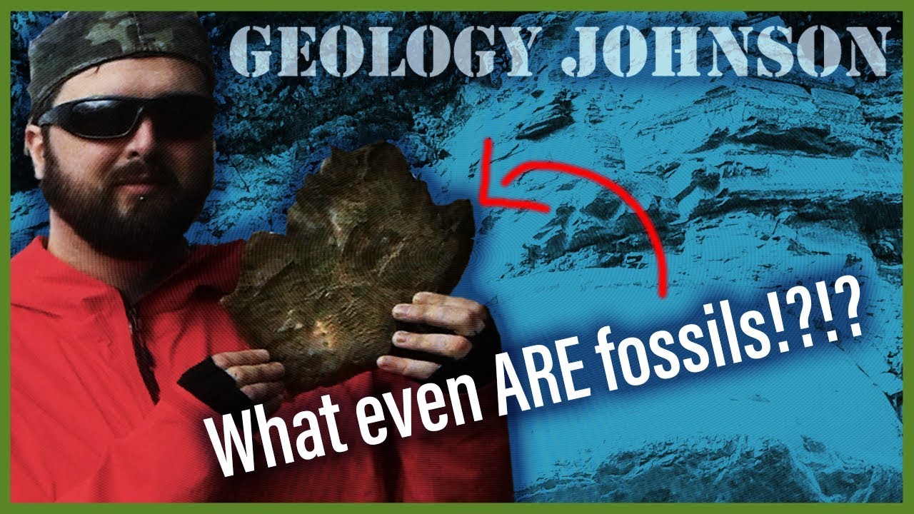 What are fossils? A geologist explains - YouTube