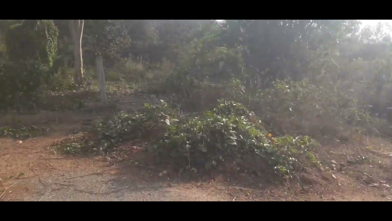 plot for sale in RBI employees layout magadi road ,off Doddaladamara ...