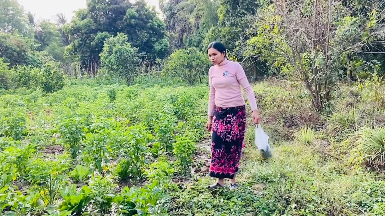 Making Tuk Kroeung Eat With Sadao Leaves And Luffa Vegetables - YouTube