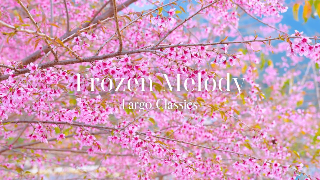 Frozen Melody - Largo Classics - YouTube