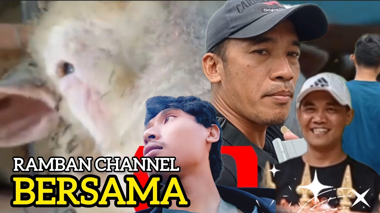 JURAGAN DOMBA MAS ESMANTO & Ingon-ingon desa - YouTube