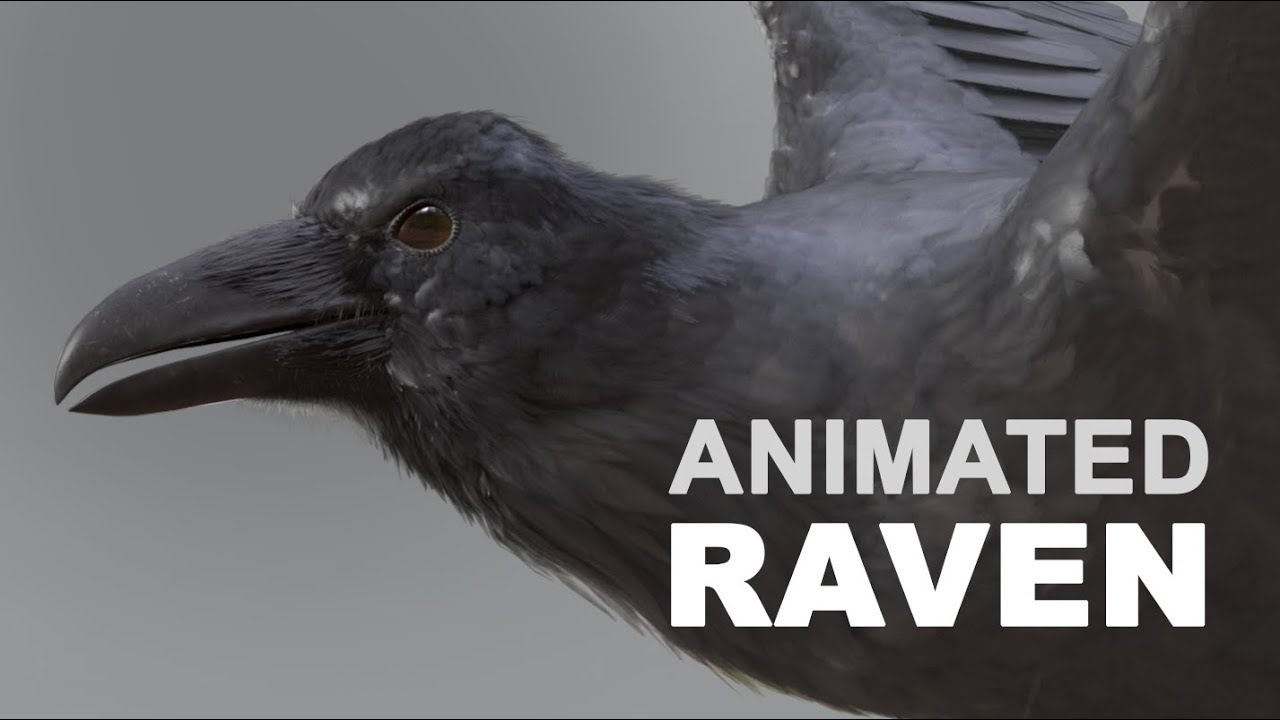 CG Raven Animation - YouTube