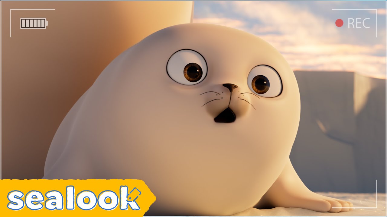 [🔴REC] Hidden Life of SealsㅣSEALOOKㅣEpisodes Compilation - YouTube