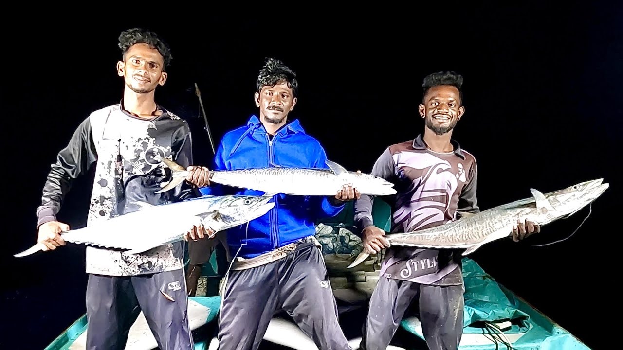 Catching King Fish, Cobia Fish & Horse-eye Jack in the Deep Sea - YouTube