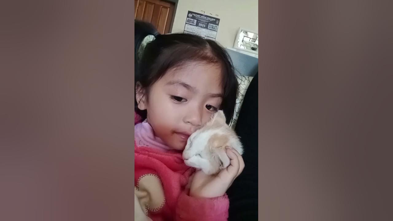 Meow meow hi kan duh em2 ani e....Dt.15.Feb.2025 - YouTube