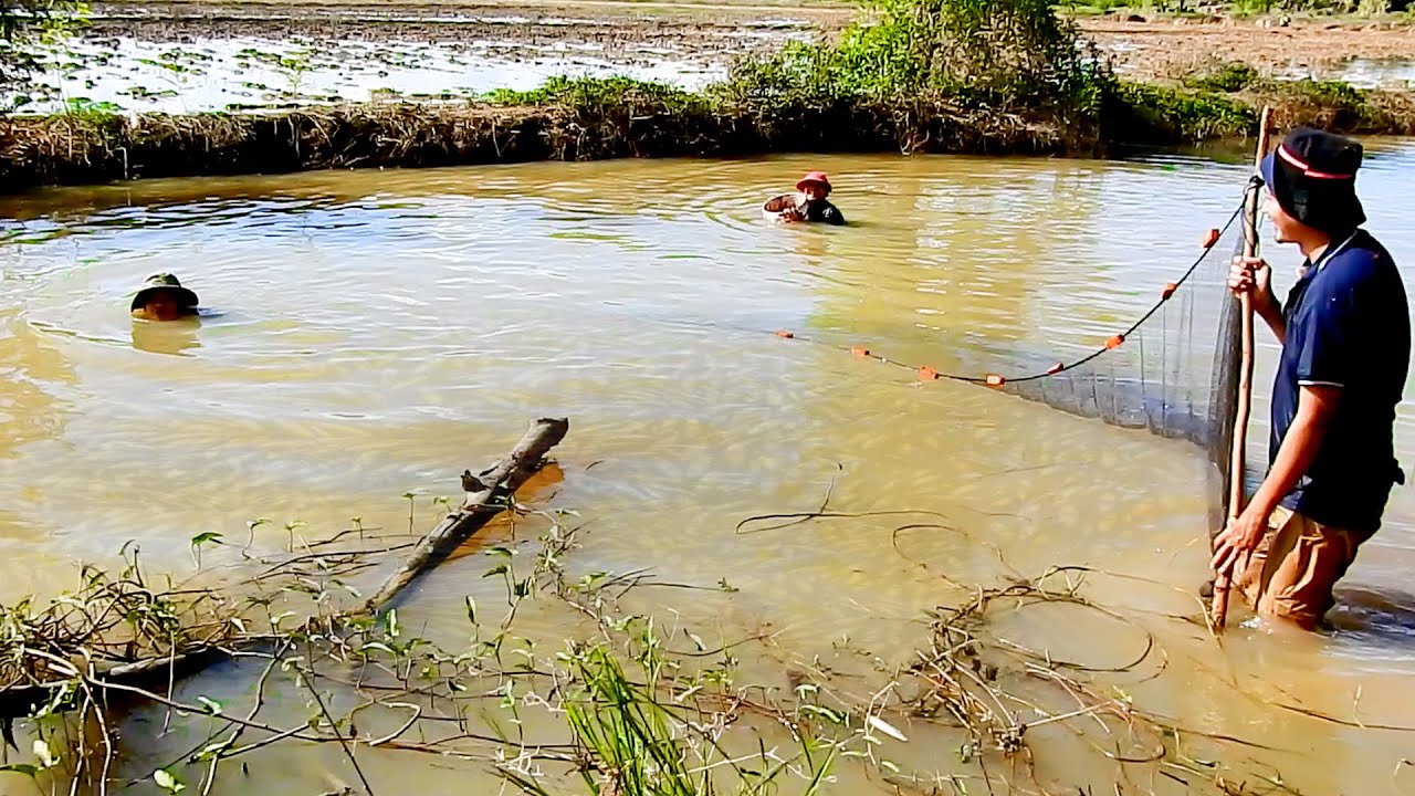 Real life Net Fishing In River At The Countryside, How To Fishing ...