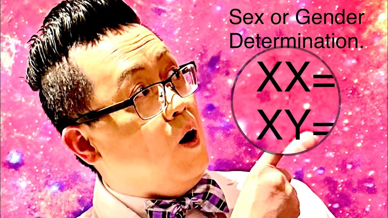 What determines the sex or gender of a baby? Sex determination. Gender ...