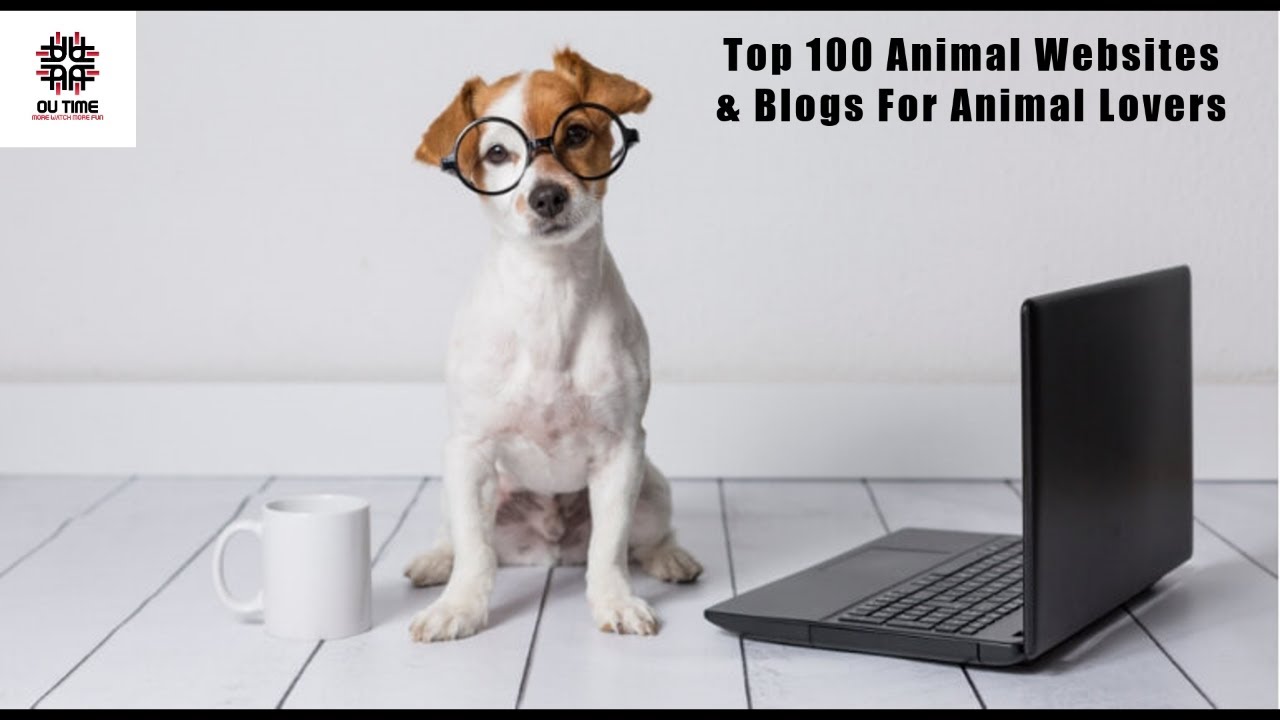 Top 100 Animal Websites And Blogs P1 - YouTube