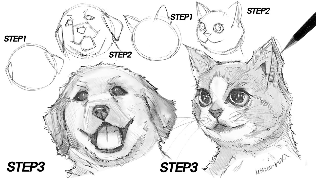 ANIMAL TUTORIAL - YouTube