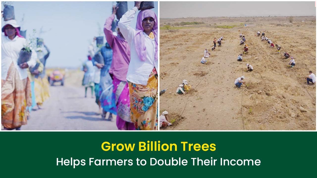 How farmers double their income with the help of Growing Billion Trees ...