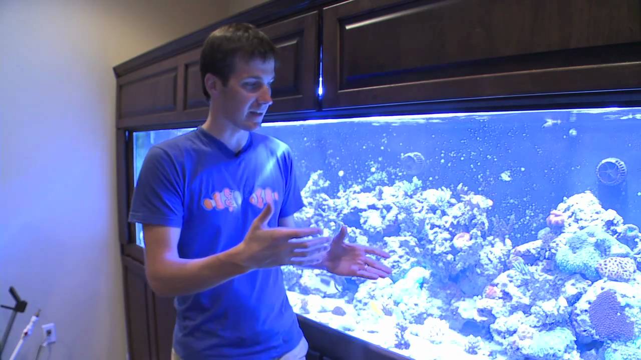 Hydro Innovations 440 Gallon Monster Tank Build, Part 2 - YouTube