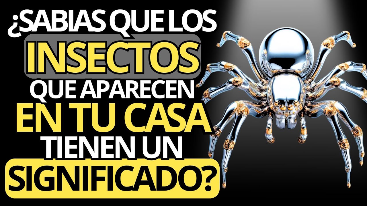 ¿Sabías que los INSECTOS que aparecen en TU CASA tienen un SIGNIFICADO ...