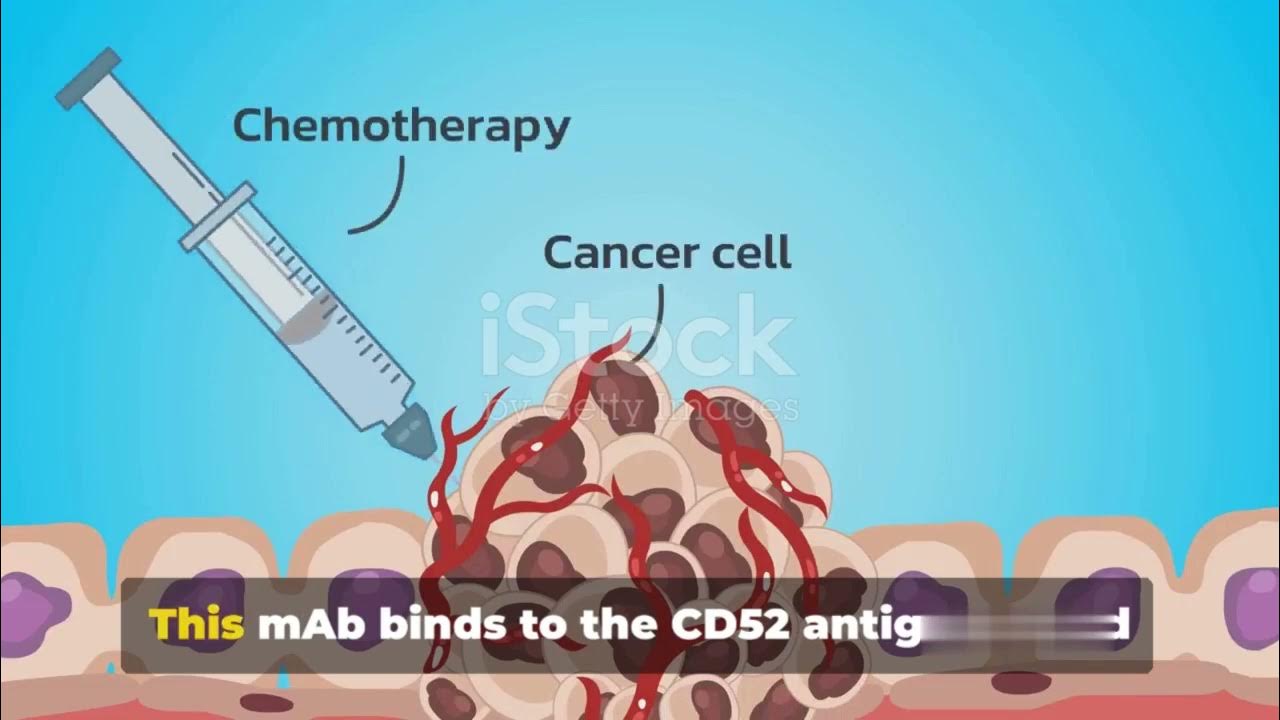 Unveiling Naked Monoclonal Antibodies The Unsung Heroes In Cancer Treatment Youtube