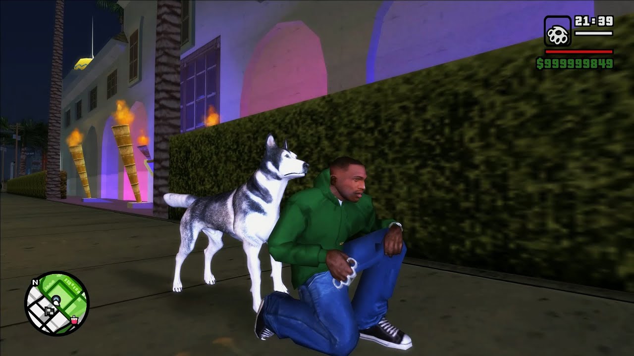 GTA SA - New Dog Mod (with download link) - YouTube