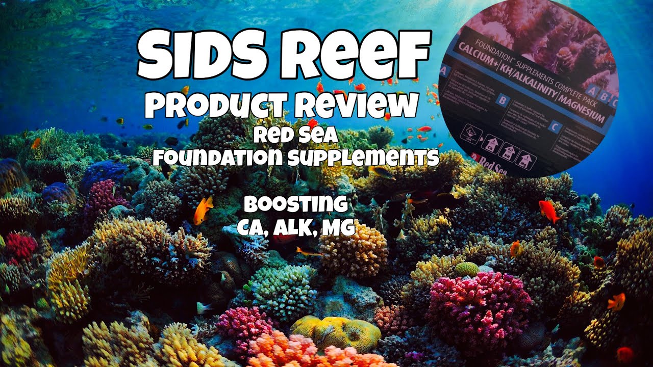 Red Sea Foundation supplements complete pack product review and results ...