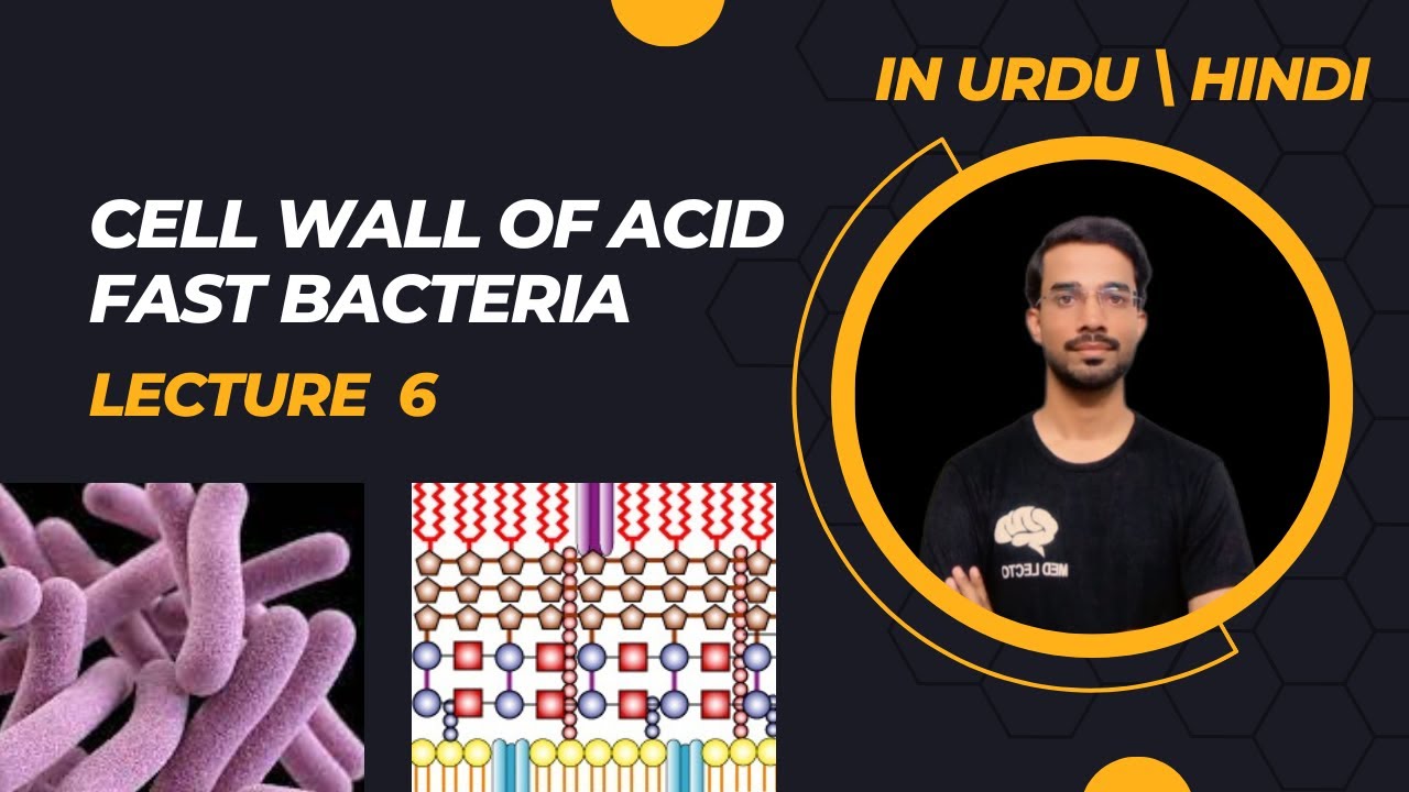 CELL WALL OF ACID FAST BACTERIA - YouTube