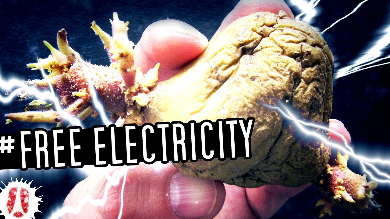 HOW TO Generate FREE Electricity With A Potato #FreeStuff #LifeHack ...