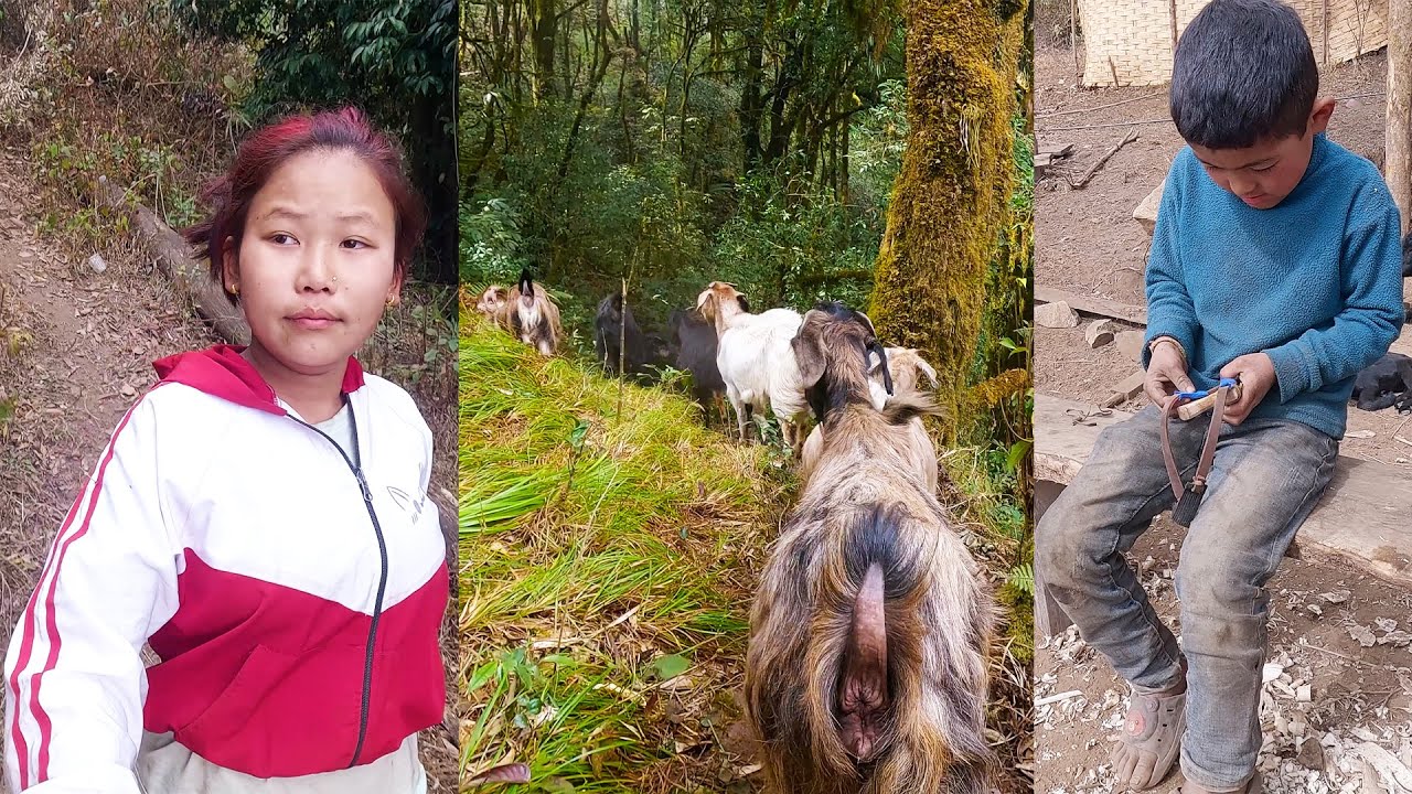 Anita herding goat with brother II Brother in law making catapult in ...