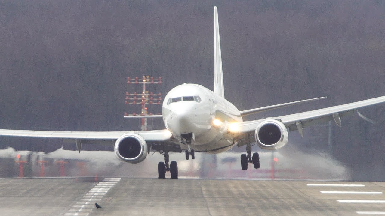 BOEING 737 CROSSWIND LANDING with a BIRD relaxing on the RUNWAY + A319 ...