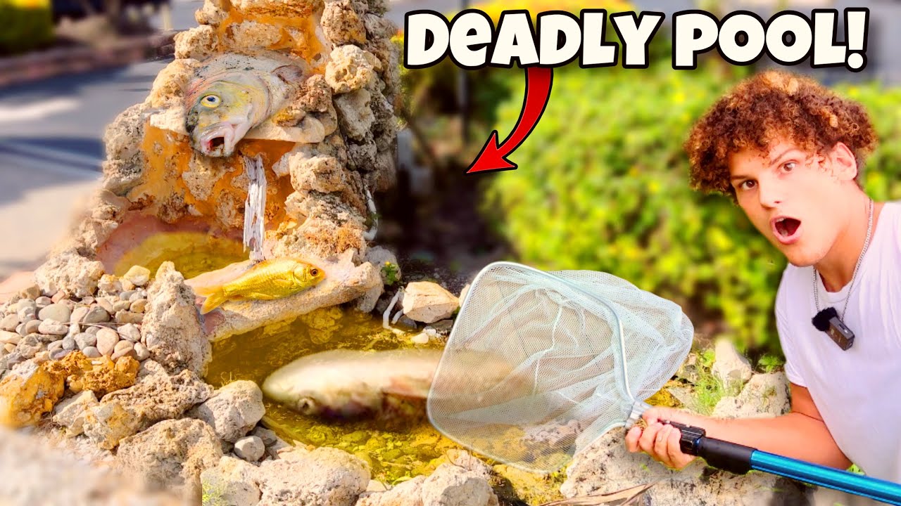 Saving FISH LIVING In DEADLY Abandoned POOL! - YouTube