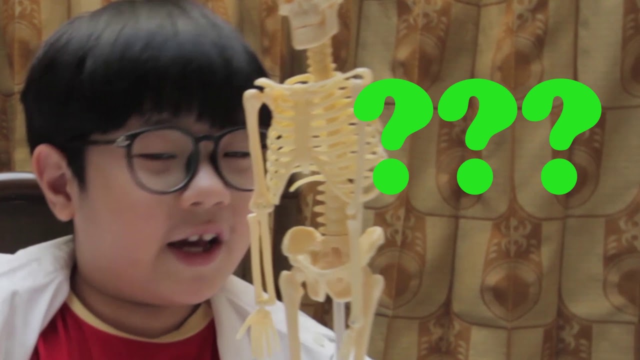 Gary The Skeleton (studying about human bones anatomy + beatbox) - YouTube