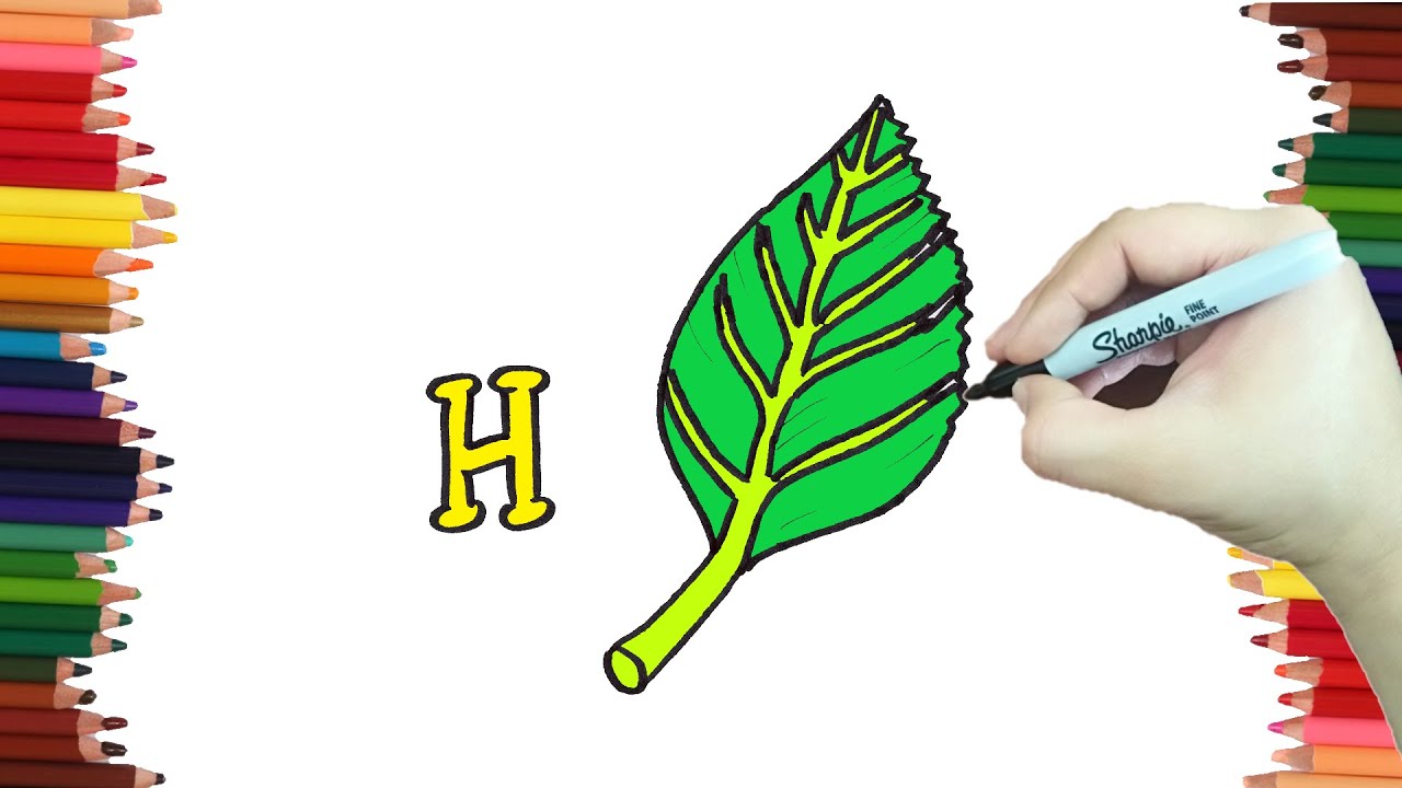 Como dibujar UNA HOJA - Dibujos con la letra H paso a paso y muy Fácil ...