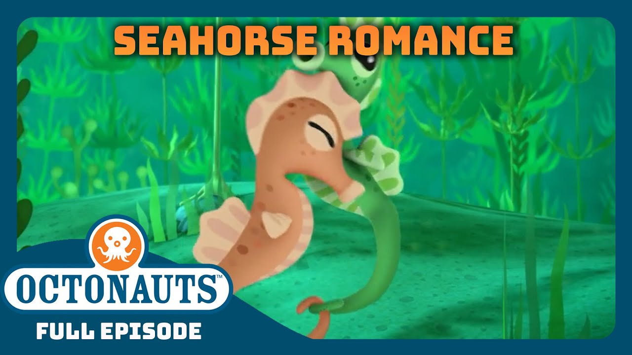 @OctonautsEpisode - The Seahorse Tale | Full Episode 31 | Cartoons for ...